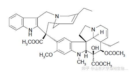酒石酸长春瑞滨软胶囊项目简介 知乎