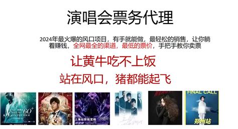 （11753期）演唱会票务代理，2024年最火爆风口项目，全网最低的票价，小白一分钟上 资源之家