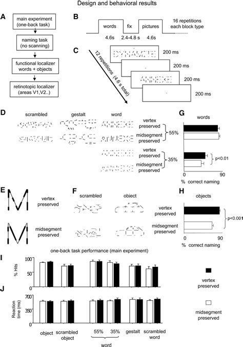 Figure 1 From Specialization For Written Words Over Objects In The Visual Cortex High Level