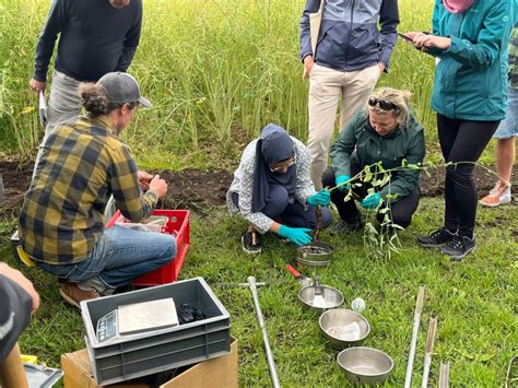 Digging Deep Sampling European Soils To Explore The Benefits Of Intercropping Leguminose