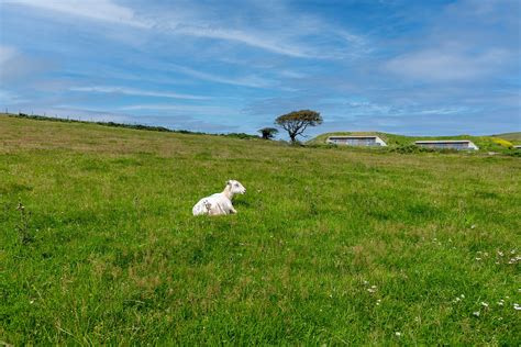 Get In Touch The Willow Hill