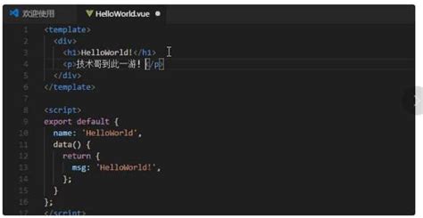 WEB前端 VUE系列教程2