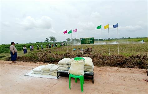 သာပေါင်းမြို့နယ်တွင် တစ်ဧက ၁၀ တင်းနှုန်း ပိုမိုတိုးတက်ထွက်ရှိရေးအတွက် မ