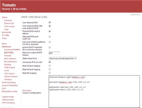 Forward Domain DNS Queries Over OpenVPN With Tomato Firmware Martin