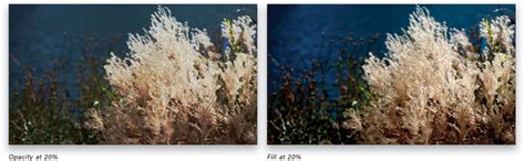 Using Blend Modes With Adjustment Layers By Scott Valentine KelbyOne Insider