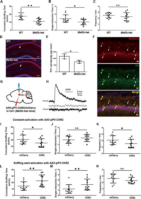 Gating Of Social Behavior By Inhibitory Inputs From Hippocampal Ca1 To