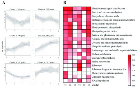 Co Expression Clustering Showing The Expression Profile Of 3905 Degs