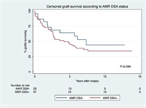 Survival According To Dsa Status Abm Antibody Mediated Rejection