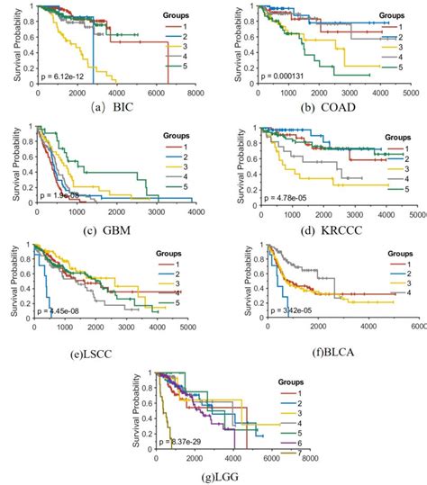 Efficient Multi Omics Clustering With Bipartite Graph Subspace Learning For Cancer Subtype