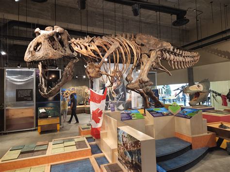 Scotty The T Rex Says Happy Canada Day Rpics