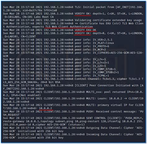 Lab How To Connect To An Internal Network Using OpenVPN Labs Net