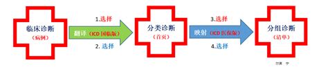 DRG DIP宝典之诊断编码填报流程 OpenDRG