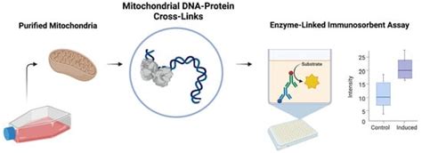 Dna An Open Access Journal From Mdpi