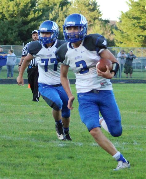 Owls Flying High News Sports Jobs The Alpena News