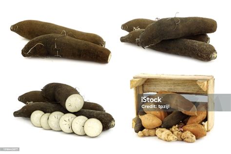 긴 검은 겨울 무 및 다른 뿌리 채소와 혼합 된 나무 상자에 있는 일부 건강한 식생활에 대한 스톡 사진 및 기타 이미지 Istock