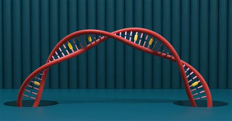 Genome Structure Could Be Key Factor In Some Forms Of Autism The