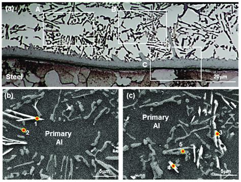 A Optical Microstructure B C Sem Structures Of The Areas Denoted