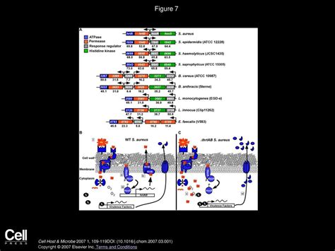 Volume Issue Pages April Ppt Download