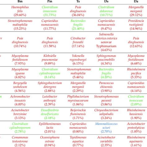 Characteristics Highlighted In Blue Aerobic Gram Positive Bacteria
