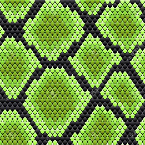 Reptile Scale Texture Reptile Scale Texture