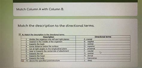 solved match column a with column b match the description