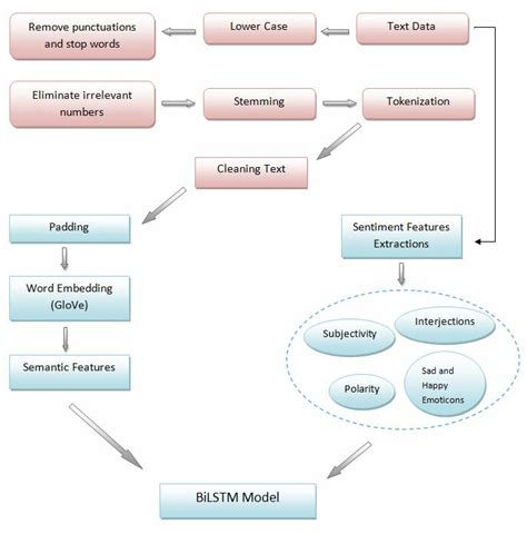 The Proposed Model Workflow Download Scientific Diagram