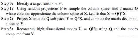 随机奇异值分解(randomized Svd Rsvd) Csdn博客 随机奇异值分解(randomized Svd Rsvd) Csdn博客
