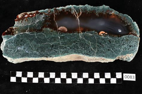 Изложба с уникална колекция от минерали ще бъде открита в Дряново Община Дряново официален сайт