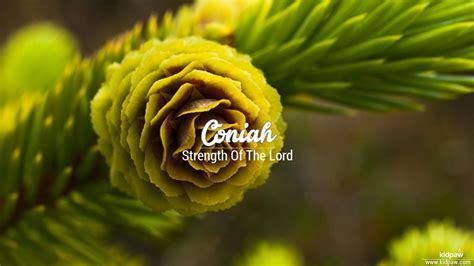 Coniah 3d Name Wallpaper For Mobile Write Name On Photo Online