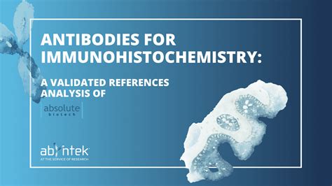 Antibodies For Immunohistochemistry A Validated References Analysis Of