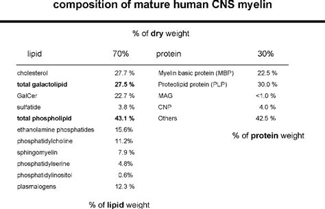 Extracellular Matrix Components