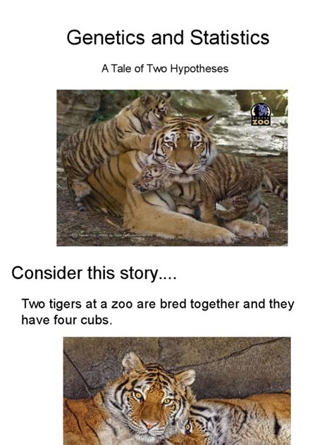 Ch 11 Genetics And Statistics Chi Square Pdf Chi Squared Distribution Hypothesis