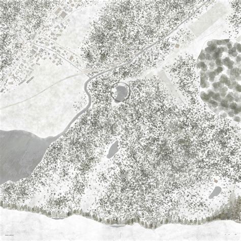 Davide Macchi A F A S I A