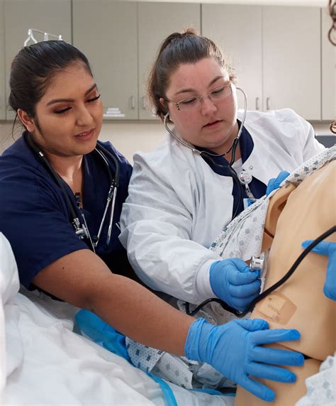 What Is Cardiovascular Sonography Smith Chason College