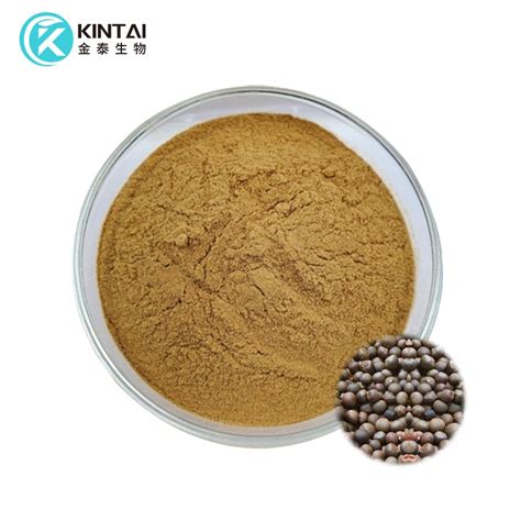 China Camellia Oleifera Seed Extract Manufacturers Suppliers Factory