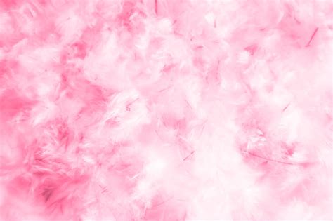 어둠 배경에 아름 다운 추상 적 색과 보라색 깃털과 화려한 부드러운 화이트 핑크 깃털 질감 패턴 0명에 대한 스톡 사진 및 기타 이미지 Istock