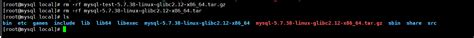 Centos Mysql Mysql A Infoq
