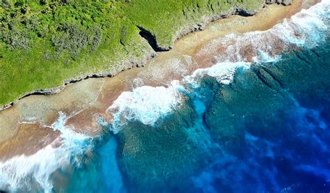 Atiu Escape To A Simpler Life Pcc Blog