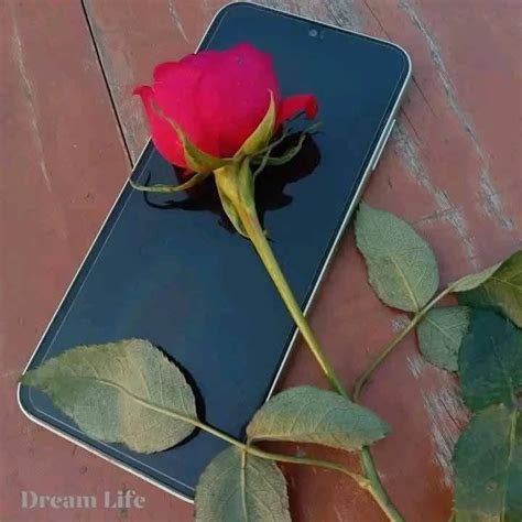 নুপুর আক্তার শেফালী