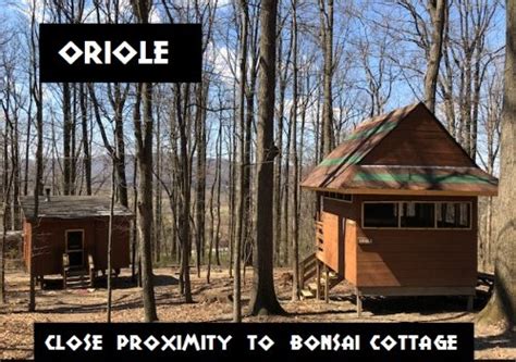 Tree House Camping In Maryland Family Pet Friendly Campground