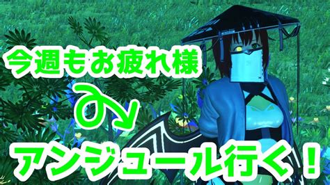 [pso2 Ngs]今週もお疲れ様！→メンテないからそのままルイノアンジュール！！！ Pso2ngs Ship8 Youtube