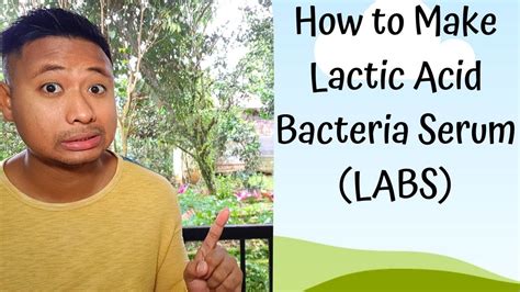 What Does Lactic Acid Lab Show at Dennis Wells blog