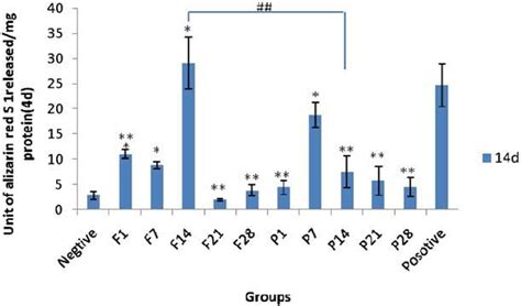 Mineralization In Cultures Of Different Concentration Groups At Day 14 Download Scientific
