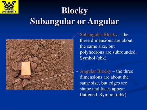 Ppt Soil Structure Powerpoint Presentation Free Download Id357696