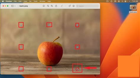How To Resize An Image On Mac In Different Ways Appuals