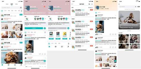 八卦社区交友圈子 白鑫冰 站酷zcool