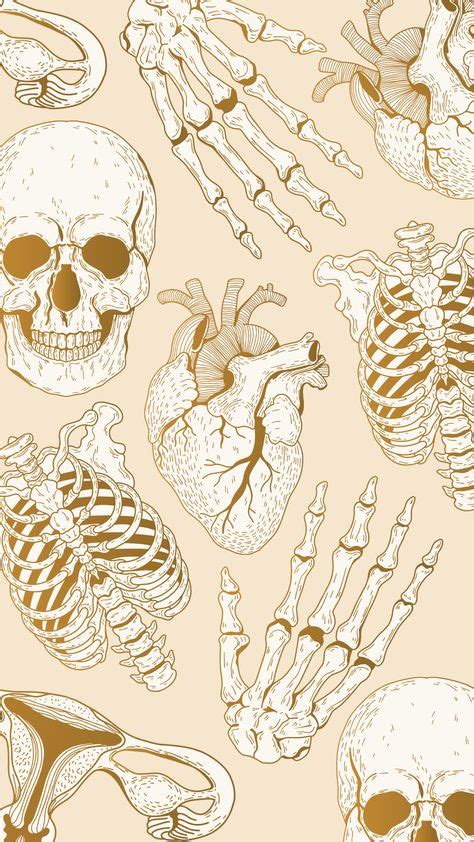 Anatomy And Physiology Binder Cover Printable