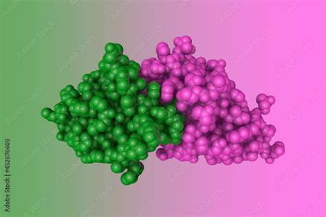 Space Filling Molecular Model Of The N Terminal Domain Of