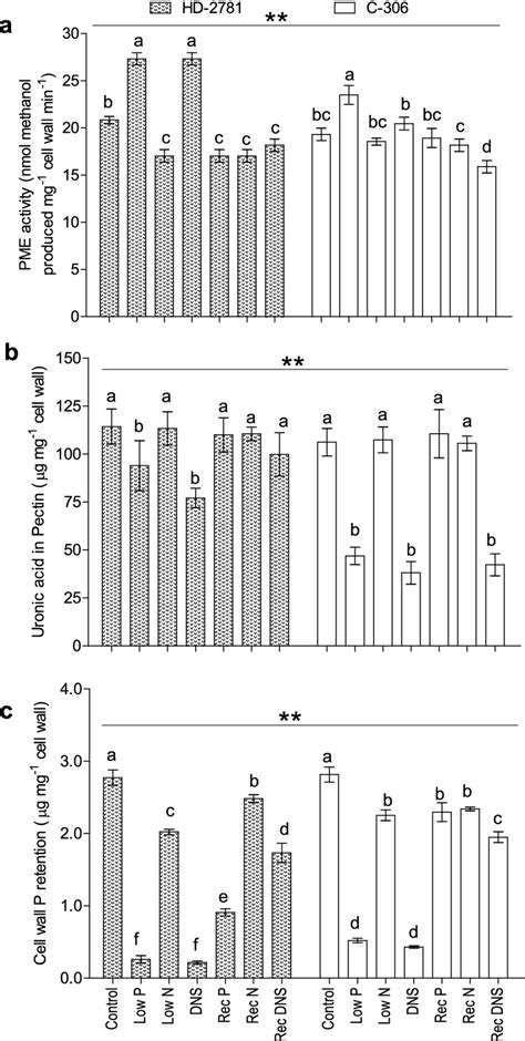 Effect Of Low Nutrient Stress And Recovery On A Pectin Methyl Esterase Download Scientific