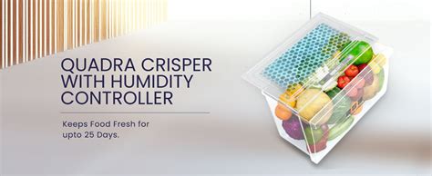 Ifb 241l 3 Star Frost Free Advanced Inverter Double Door Refrigerator Eco Cool Ifbff 2913dbse